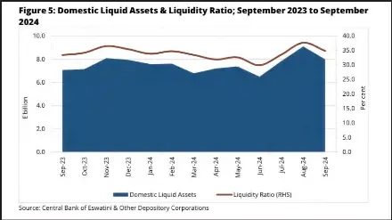 Domestic liquid assets amounted to E8 bln in September 2024 - PressReader