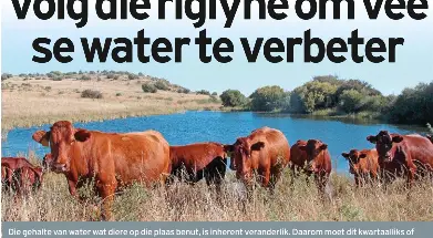 Volg dié riglyne om vee se water te verbeter - PressReader
