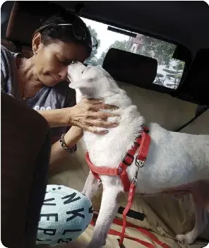 COPING WITH THE LOSS OF A PET - PressReader