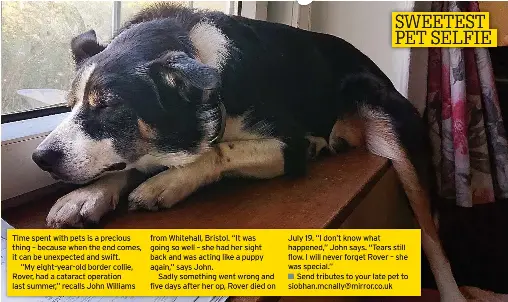 Let’s do this together - PressReader