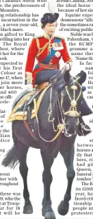 A mount from the Mounties, again by royal appointmen­t - PressReader