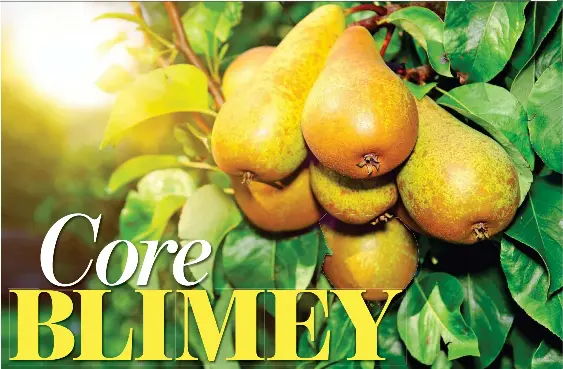 Core BLIMEY - PressReader