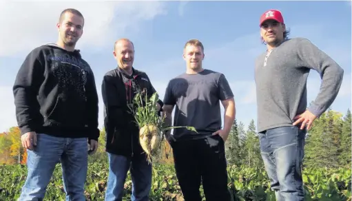 Premiers succès pour le sucre de betterave - PressReader