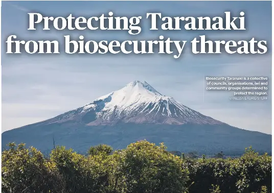 Protecting Taranaki from biosecurit­y threats - PressReader