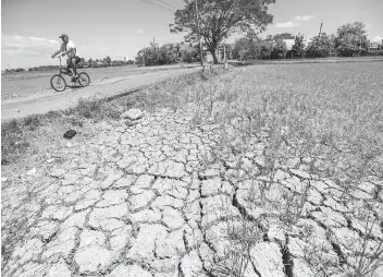 86% OF FILIPINOS SATISFIED WITH AFP PERFORMANC­E —OCTA - PressReader