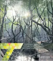 CANARI, FAO launch forest strategy - PressReader