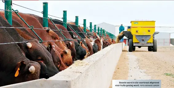 Só werk SA se eerste slimplaas - PressReader