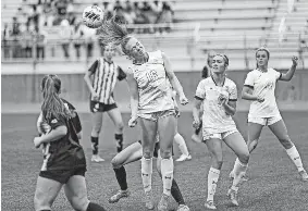 Edmond North, Norman North on collision course - PressReader