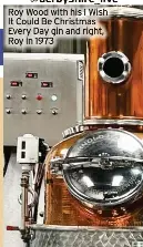 Roy’s Wizzard gin means it can be Christmas every day - PressReader