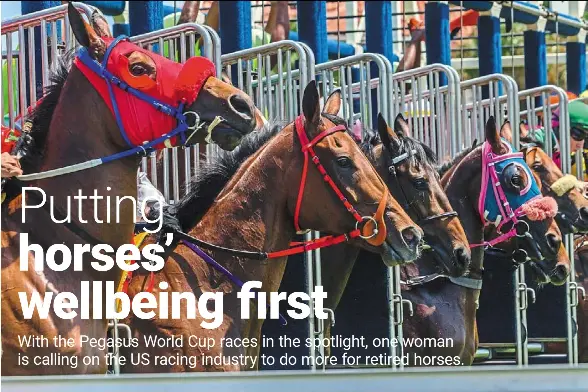 Putting horses’ wellbeing first - PressReader