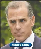Hunter Biden is guilty. But you already knew that - PressReader