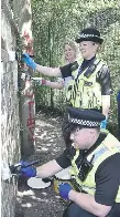 Police to increase patrols at problem alleyway - PressReader
