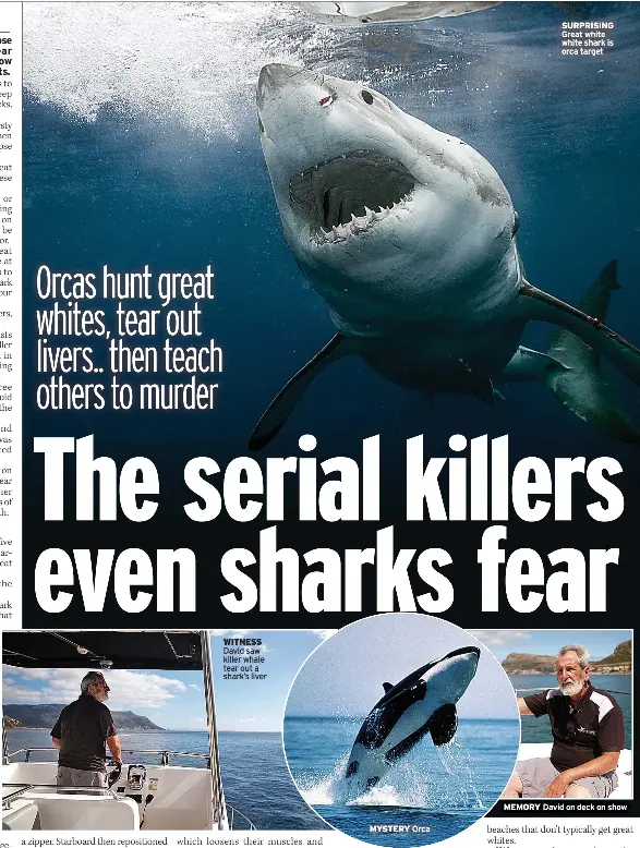 The serial killers even sharks fear - PressReader