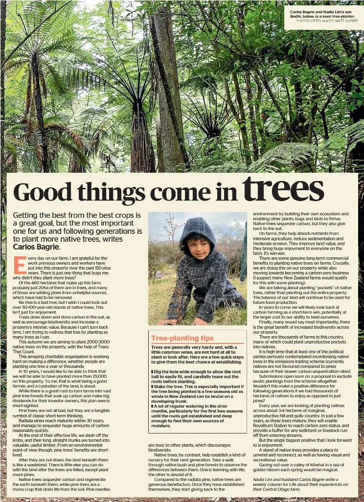 Trees Good things come in - PressReader