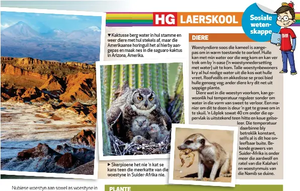 Warm woestyne - PressReader