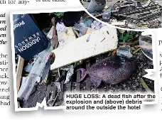 Thousands of fish die as huge hotel aquarium explodes - PressReader
