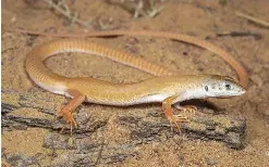 Back from the brink - PressReader