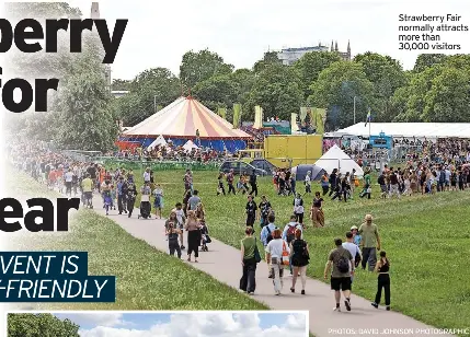 Free Strawberry Fair all set for return in its milestone year - PressReader