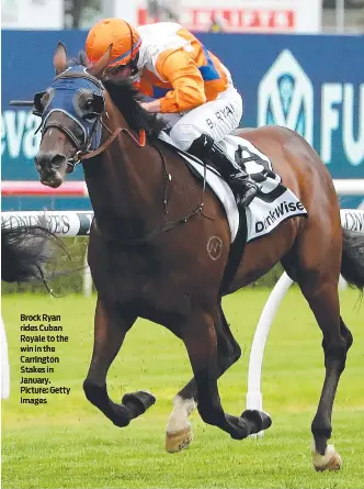 Late bloomer ready to roll - PressReader