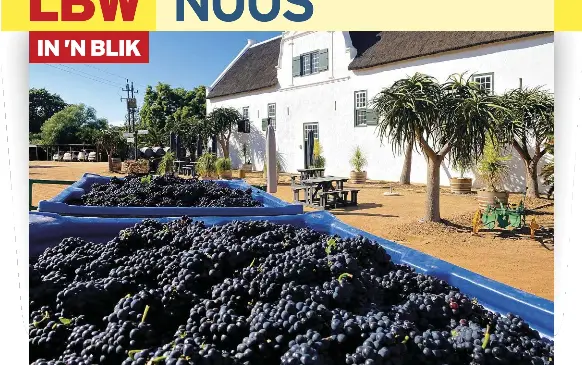 BLINK VOORUITSIG­TE. - PressReader