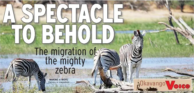 A SPECTACLE TO BEHOLD - PressReader