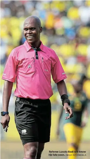 Safa awaits review committee report to decide on ref Badi - PressReader