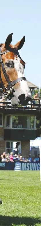 David Tatlow - PressReader