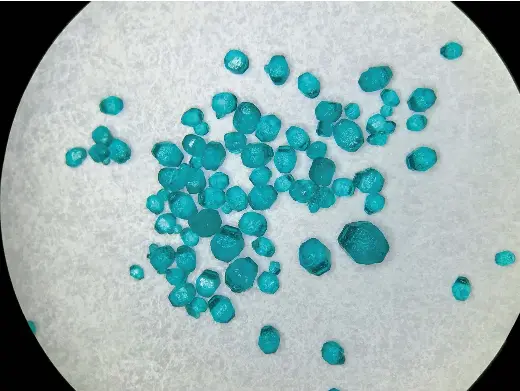 Unexpected connection between nickel toxicity, cholestero­l found ...