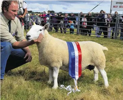Islay Show family affair - PressReader