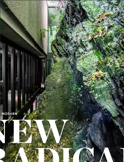 New radical - PressReader