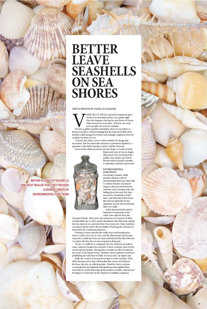BETTER LEAVE SEASHELLS ON SEA SHORES - PressReader