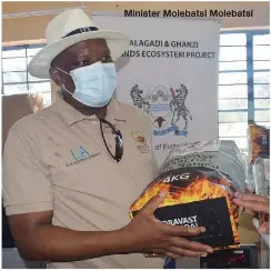 Kgalagadi Community Produces Charcoal, Feedstock From Sexanana Tree ...