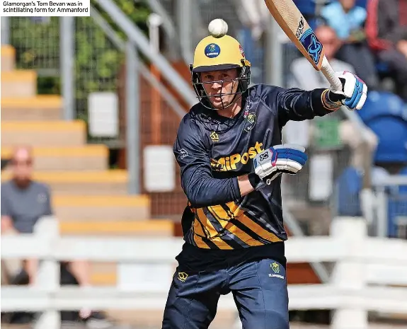 Champs beaten in fresh title race twist - PressReader