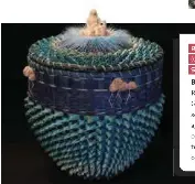 Ronni-leigh Goeman (Onondaga Nation/eel Clan) & Stonehorse Goeman ...