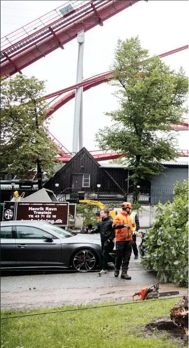 VILDT VEJR - PressReader