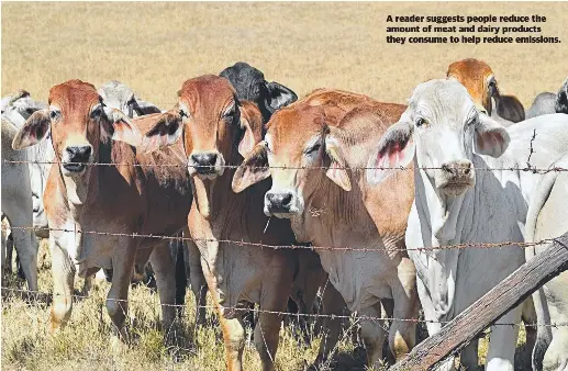 Time to help reduce livestock belching - PressReader