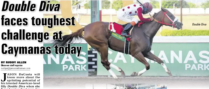 Double Diva faces toughest challenge at Caymanas today - PressReader