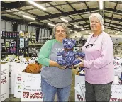 Toys For Tots need doubles - PressReader