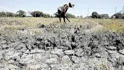 DSWD readies P 1.4B for drought-hit areas - PressReader
