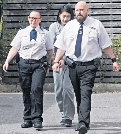 Murderer who mutilated cat copied Netflix killer’s scheme - PressReader