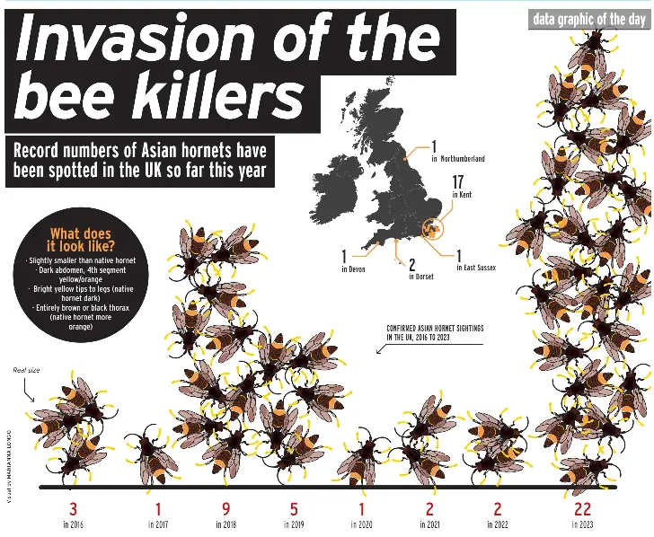 Invasion of the bee killers - PressReader