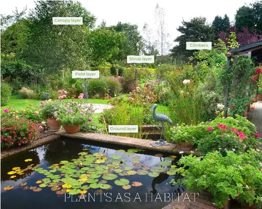 PLANTS AS A HABITAT - PressReader