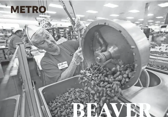 BEAVER FEVER - PressReader