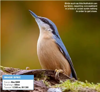 Getting close - PressReader