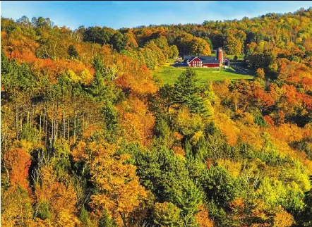 Autumn leaves and bans - PressReader