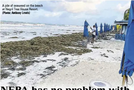 NEPA has no problem with hoteliers clearing seagrass from beaches, but... - PressReader
