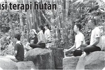 Mencari ketenangan menerusi terapi hutan - PressReader