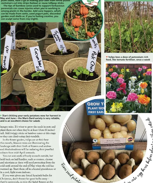 make your own plant markers HOW TO… - PressReader