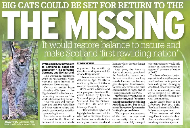 THE MISSING LYNX - PressReader