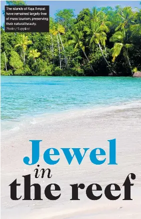 JEWEL OF THE REEF - PressReader